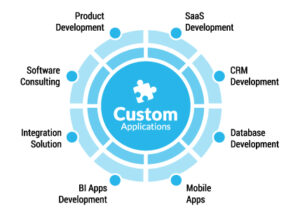 Custom Software Application Development in India, USA, UK, AUS ...
